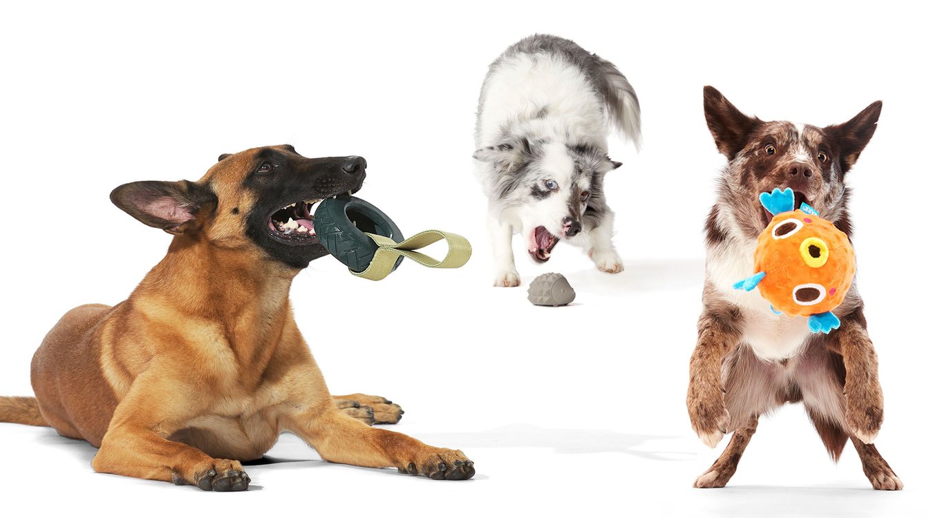 BARK Animal Squeakers Snacks Multi-Part Squeaky Plush Dog Toy, Small ...