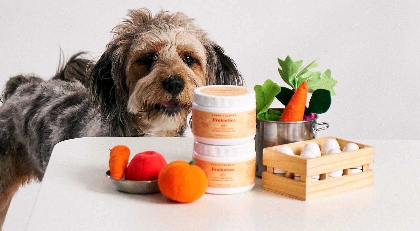 BOCCE'S BAKERY Probiotics Soft Chew Digestive Supplement for Dogs, 60 ...