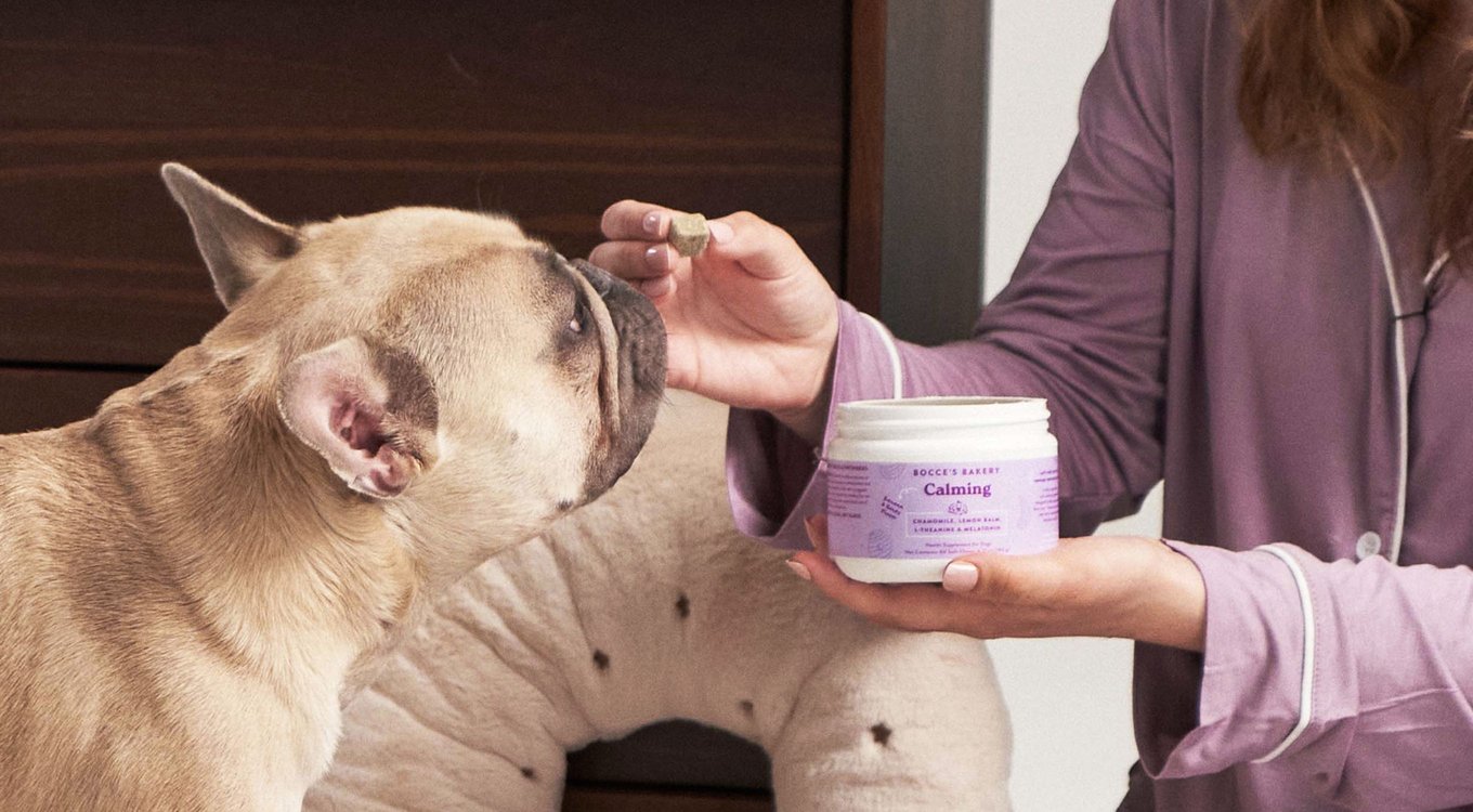 BOCCE'S BAKERY Probiotics Soft Chew Digestive Supplement for Dogs, 60 ...