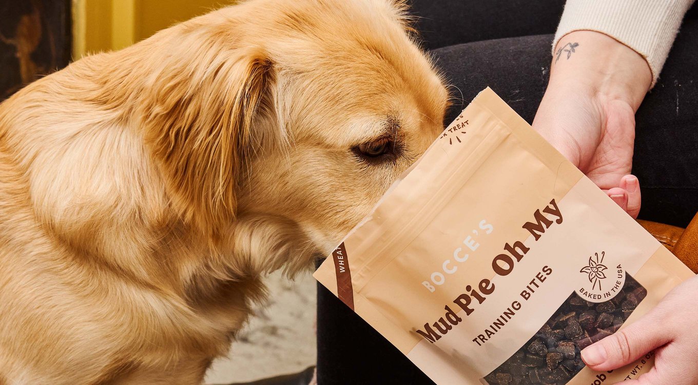BOCCE'S BAKERY Say Moo Beef & Cheddar Training Bites Dog Treats, 6-oz ...