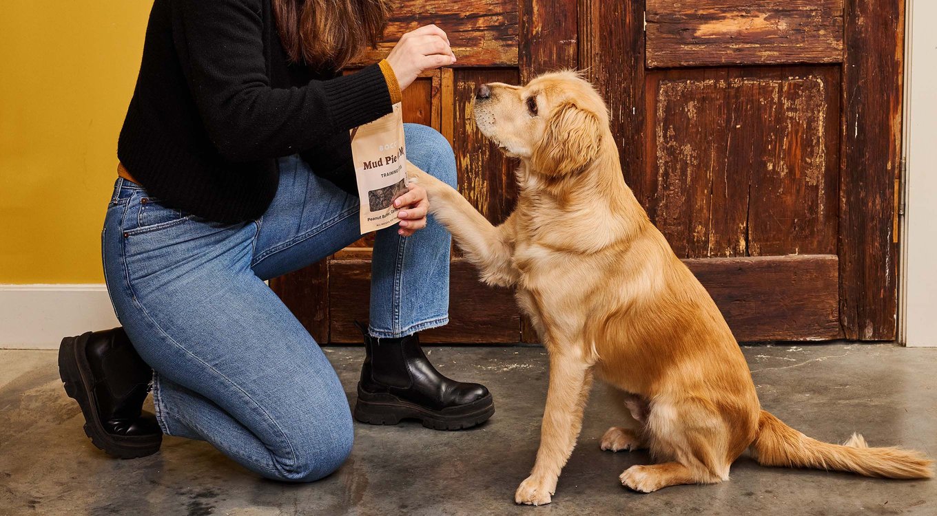 BOCCE'S BAKERY Say Moo Beef & Cheddar Training Bites Dog Treats, 6-oz ...
