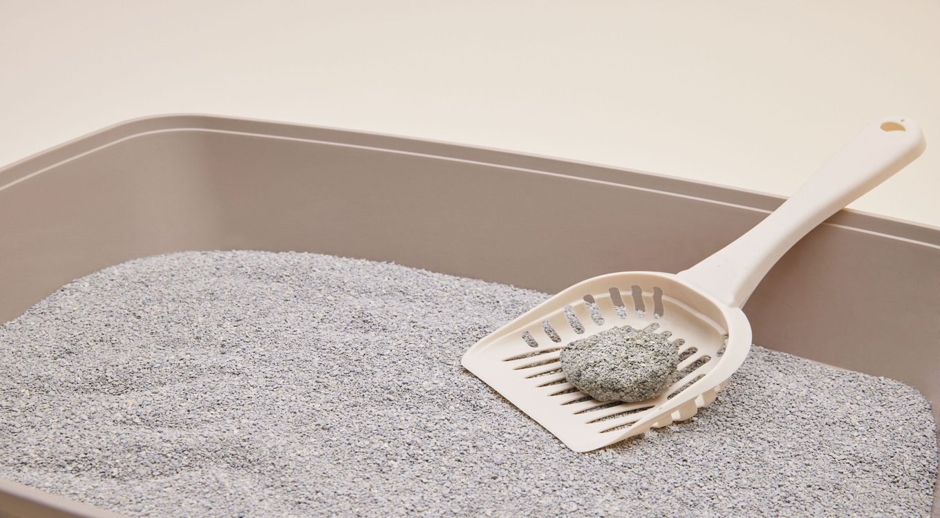 BOXIECAT Extra Strength Odor Control Clumping Clay Cat and Kitty Litter ...