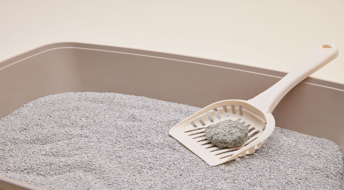 BOXIECAT Self-Cleaning Probiotic Clumping Clay Cat Litter, 40-lb bag ...