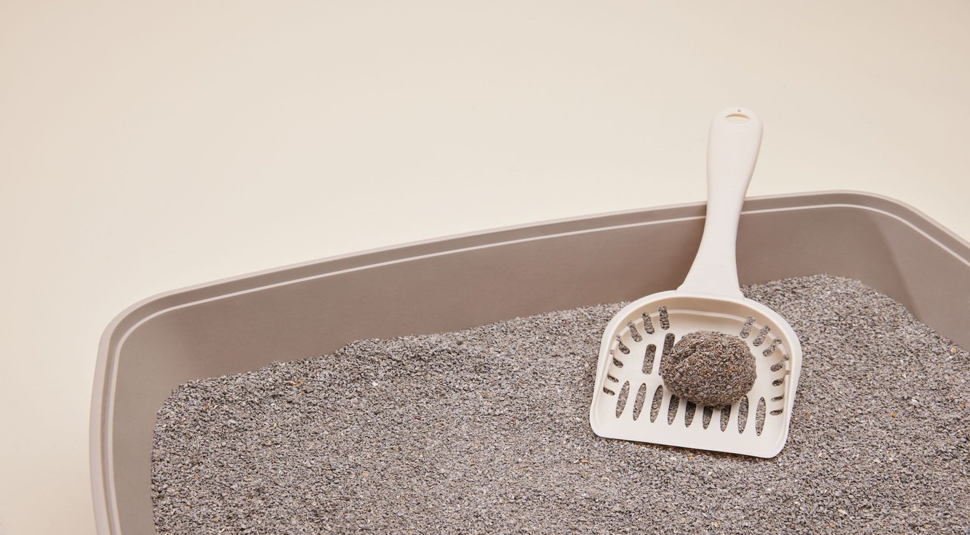 BOXIECAT Self-Cleaning Probiotic Clumping Clay Cat Litter, 40-lb bag ...