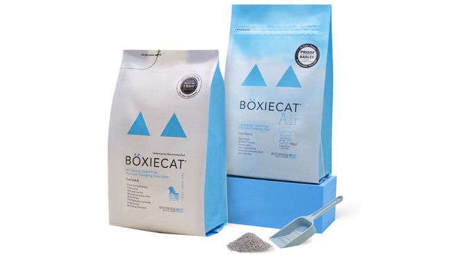 BOXIECAT Unscented Odor Control Clumping Clay Cat and Kitty Litter, 16 ...