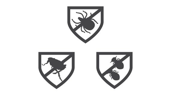 FRONTLINE SHIELD Flea & Tick Treatment for Large Dogs, 41 - 80 lbs, 3 ...