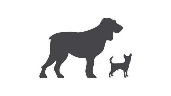 FRONTLINE SHIELD Flea & Tick Treatment for Large Dogs, 41 - 80 lbs, 3 ...