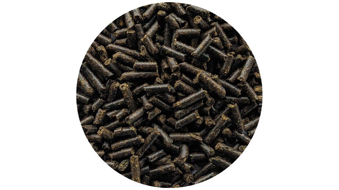 BLUEBONNET FEEDS Limited Ingredient Forage Balancer Horse Feed, 44-lb ...