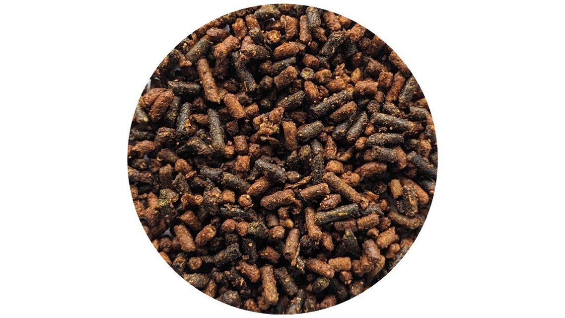 BLUEBONNET FEEDS Equilene Complete Forage Extender Horse Feed, 50-lb ...