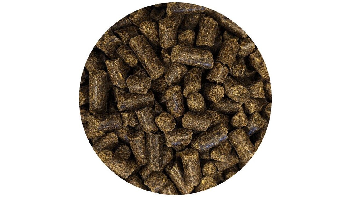 BLUEBONNET FEEDS Limited Ingredient Forage Balancer Horse Feed, 44-lb ...