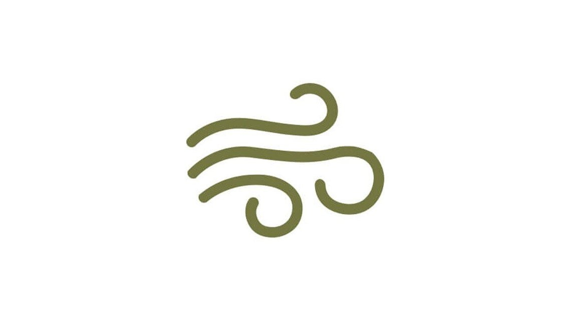 BADLANDS RANCH Superfood Complete Grain-Free Chicken Air-Dried Dog Food ...