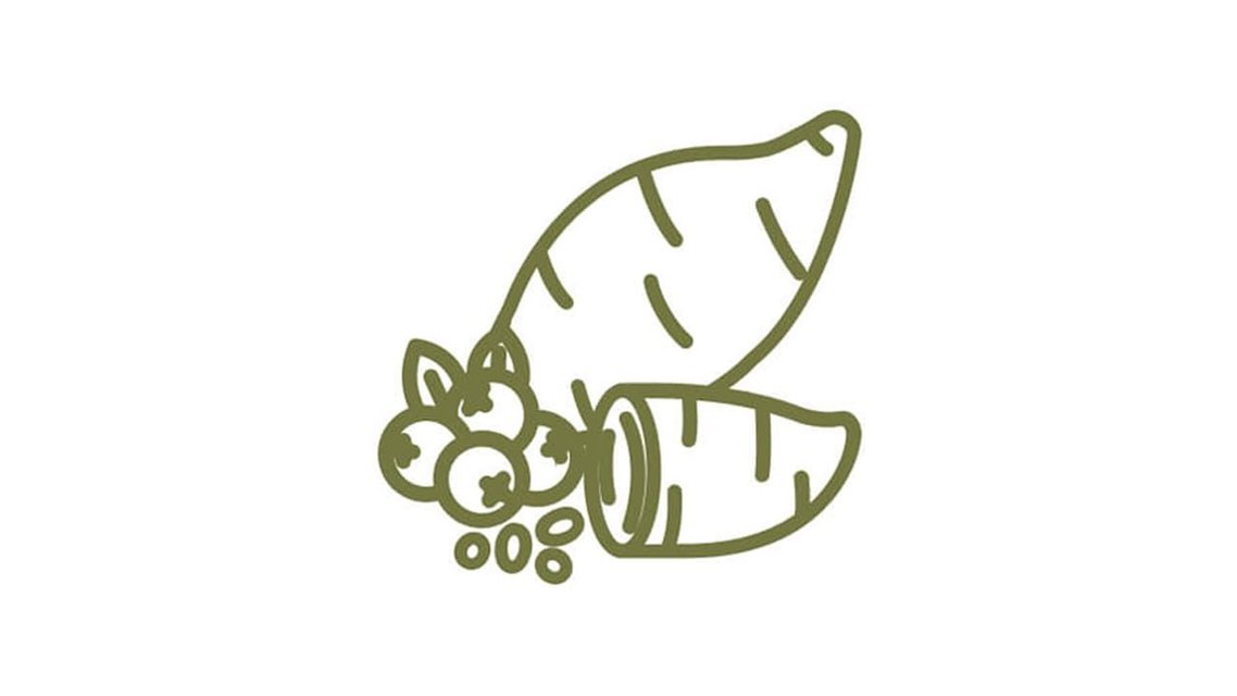 BADLANDS RANCH Superfood Complete Grain-Free Chicken Air-Dried Dog Food ...