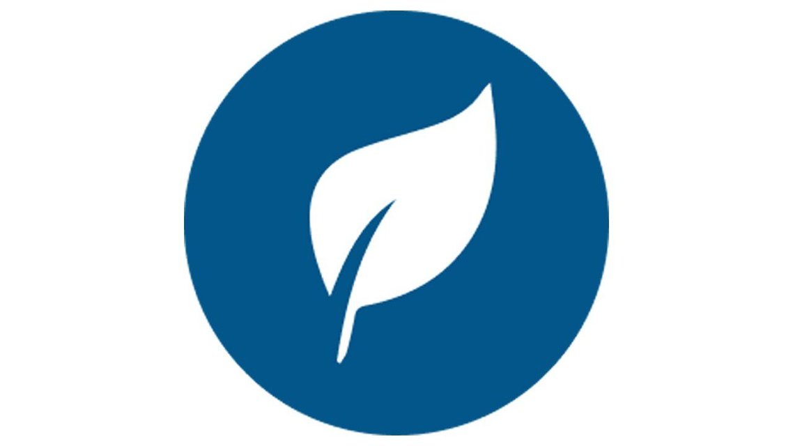 BEST BULLY STICKS Odor Free 6" Bully Stick Dog Treats, 6 count - Chewy.com