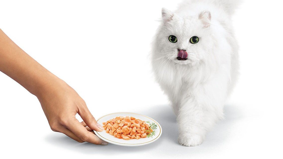 FANCY FEAST Appetizers Wild Alaskan Salmon in a Delicate Broth Lickable ...