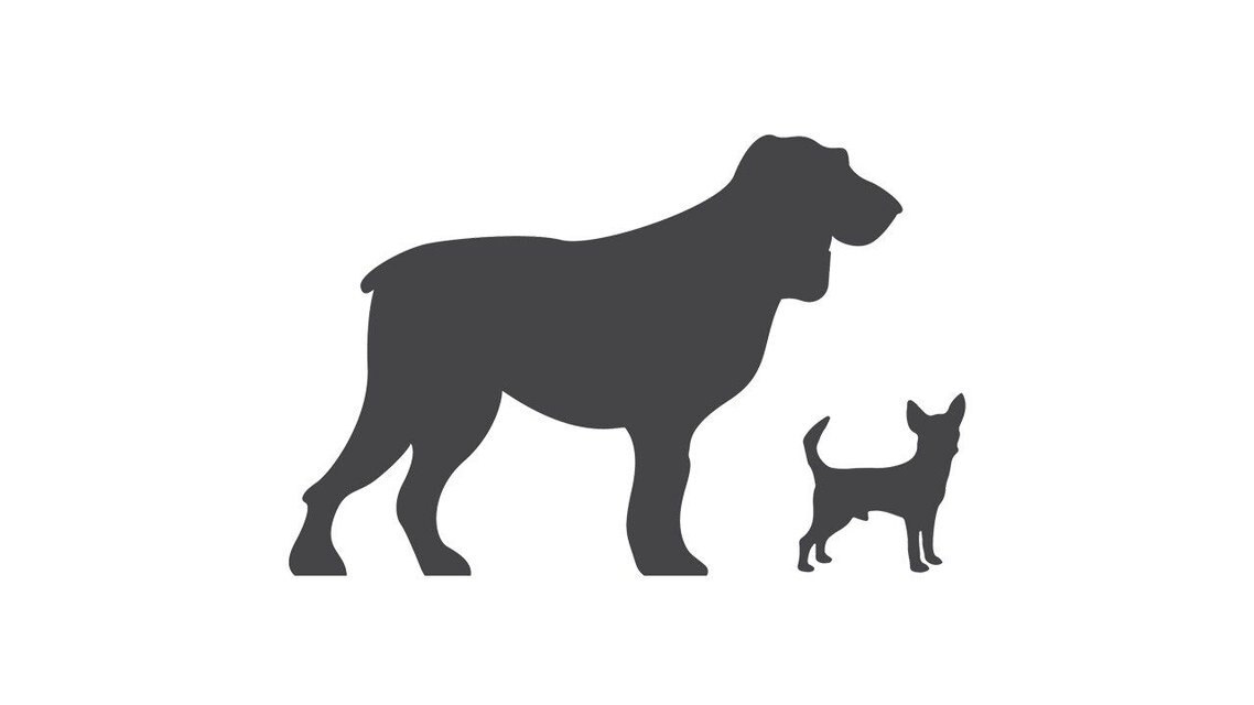 FRONTLINE PLUS Flea & Tick Spot Treatment for Medium Dogs, 23-44 lbs, 8 ...