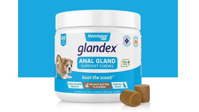 VETNIQUE LABS Glandex Dog Anal Gland Support Soft Chews with Pumpkin, Digestive Enzymes ...