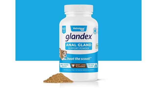 VETNIQUE LABS Glandex Anal Gland Support with Advanced Strength Bacon ...