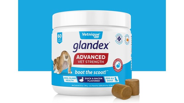 VETNIQUE LABS Glandex Anal Gland Support with Advanced Strength Bacon ...