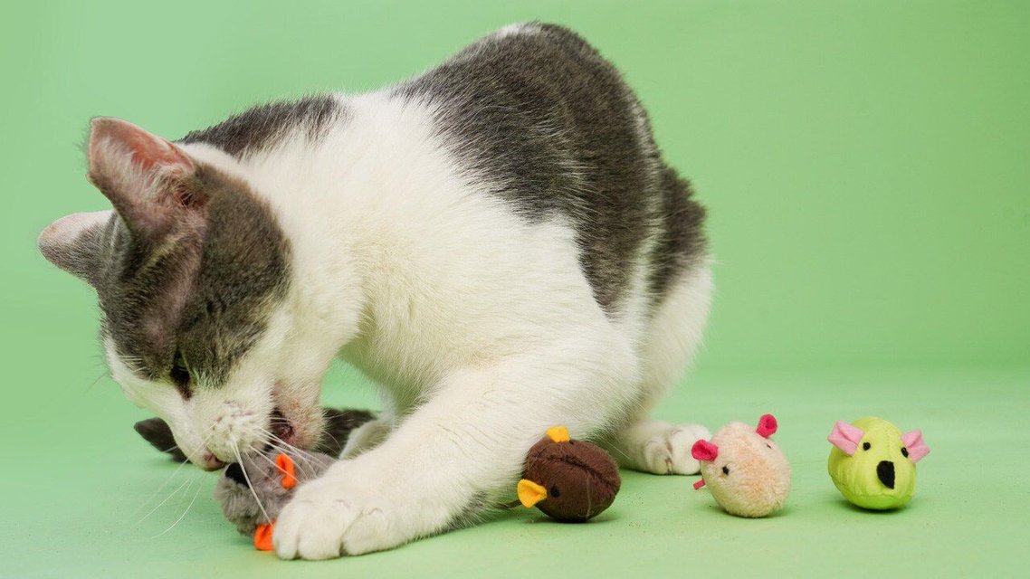 HARTZ Cattraction Crinkle Mice Cat Toy, Multi Color, 10 count - Chewy.com