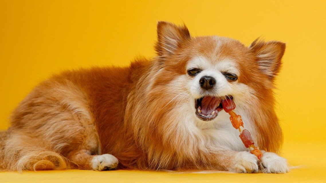 HARTZ Oinkies Hearty Kabobs with 100% Real Chicken & Duck Carrot ...