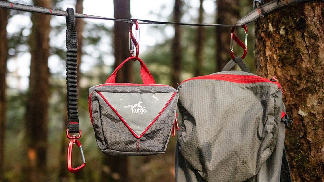 KURGO Direct to Seatbelt Dog Tether, Coastal Blue - Chewy.com