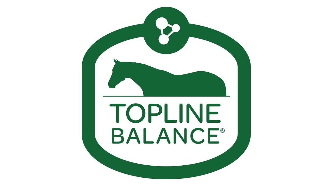 NUTRENA SafeChoice Special Care Horse Feed, 50-lb bag - Chewy.com