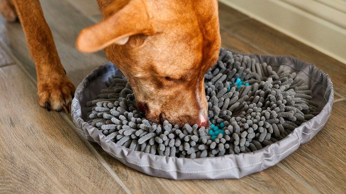 PET PARENTS Forager Snuffle Mat & Slow Feeder Dog Bowl, Forest Grey ...