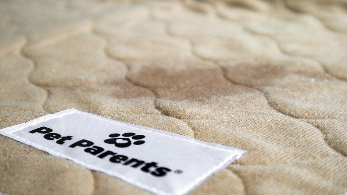 PET PARENTS Pawtect Pads Washable Training Puppy, Dog & Cat Pee Pads, 2 ...