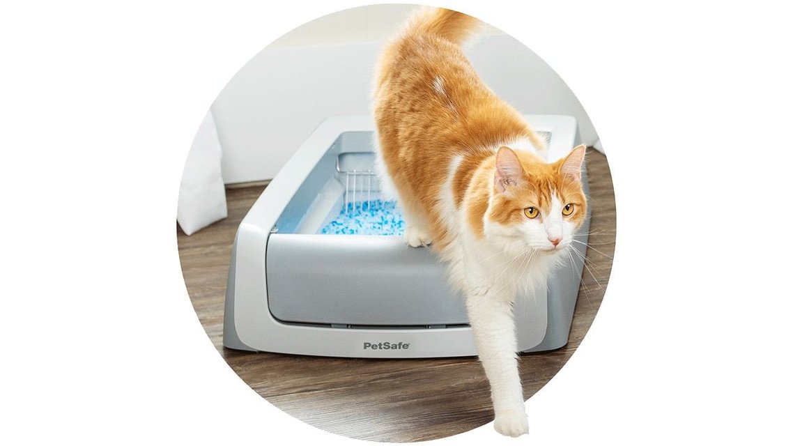 PETSAFE SSSCAT Motion-Activated Dog & Cat Spray, 3.89-fl oz bottle ...