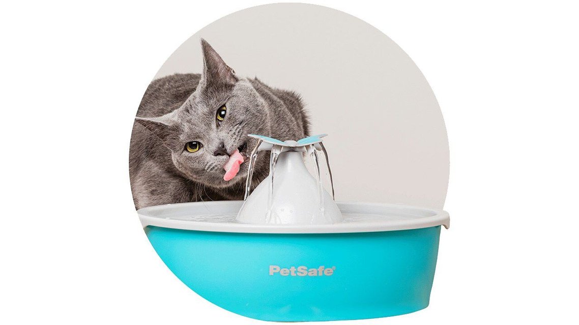 PETSAFE SSSCAT Motion-Activated Dog & Cat Spray, 3.89-fl oz bottle ...