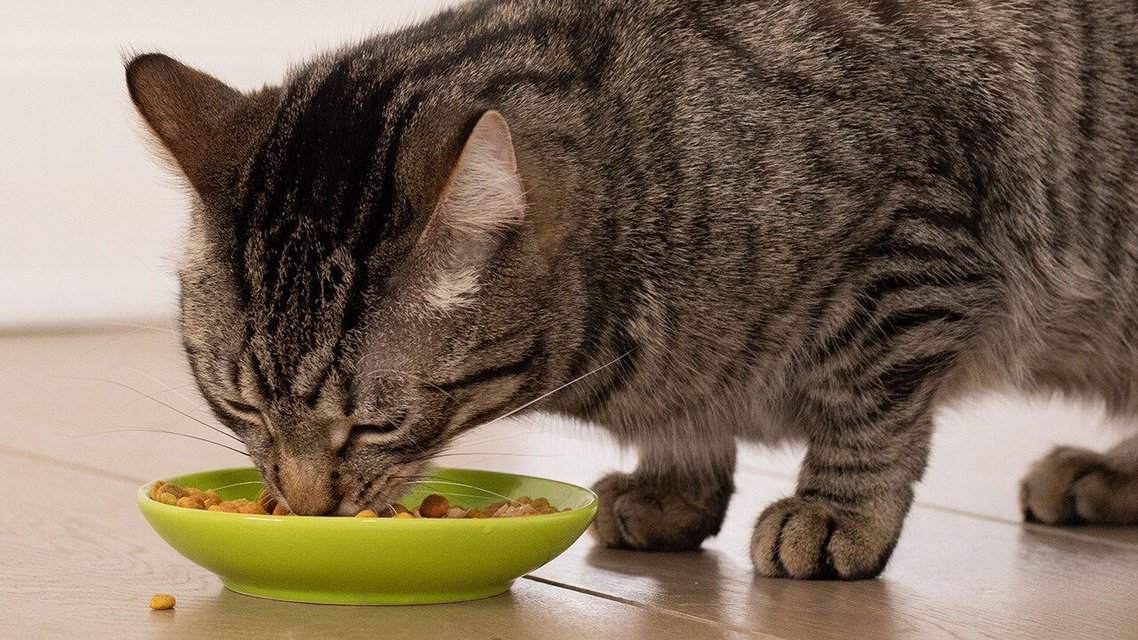 Purina Cat Chow Naturals Original with Added Vitamins, Minerals ...