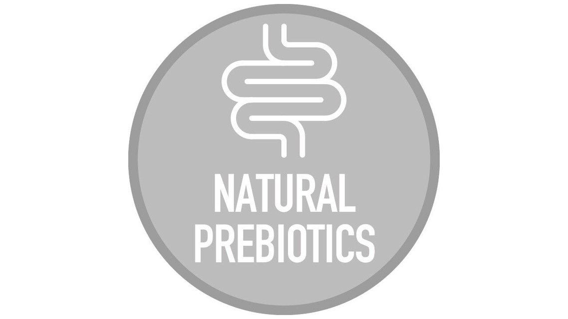 SCIENCE SELECTIVE Naturals Harvest Loops Hamster Food, 2.8-oz bag, case ...