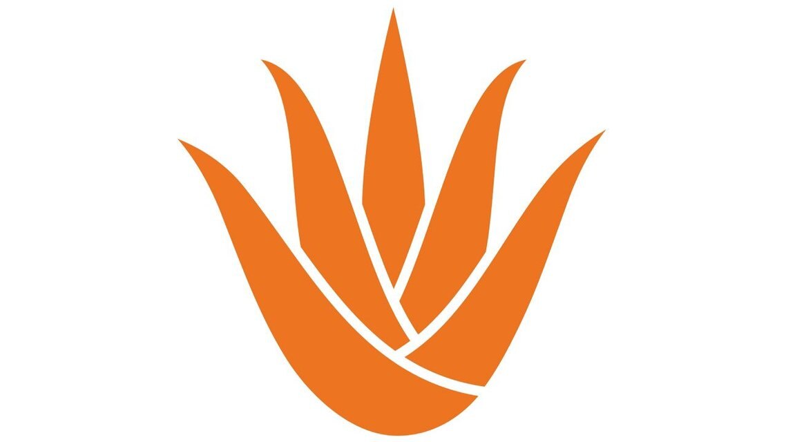 VETERINARY FORMULA CLINICAL CARE Antiseptic & Antifungal Medicated ...