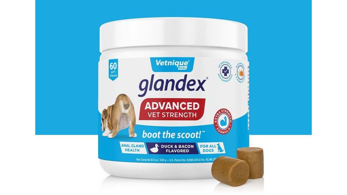 VETNIQUE LABS Glandex Anal Gland & Probiotic Peanut Butter Flavored ...