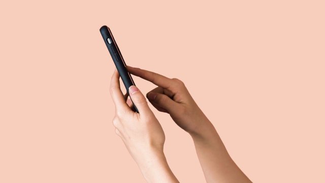 WISDOM PANEL Breed Discovery Breed Identification DNA Test for Dogs ...