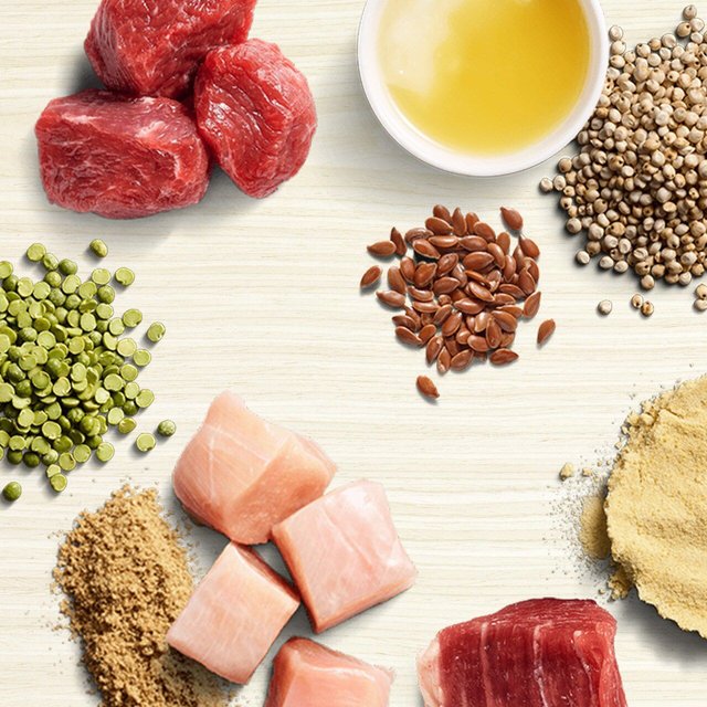 NUTRO Max Adult Mini Chunks Farm-Raised Chicken Recipe Natural Dry Dog ...