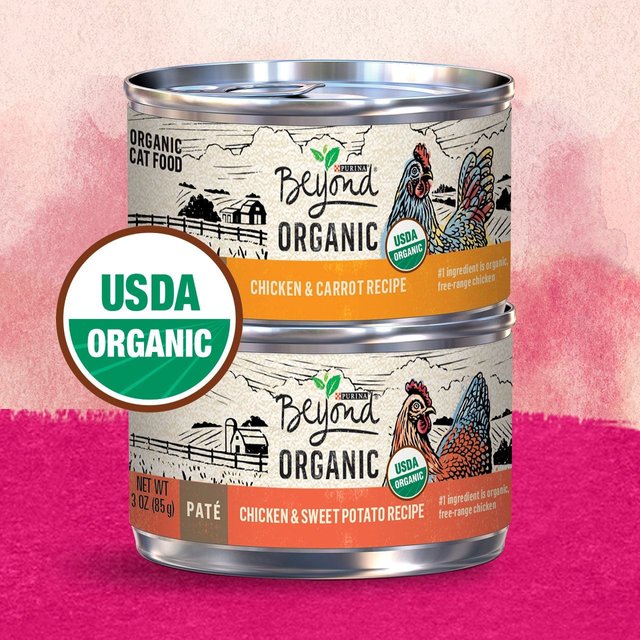 PURINA BEYOND White Meat Chicken & Egg Recipe Grain-Free Natural Dry ...