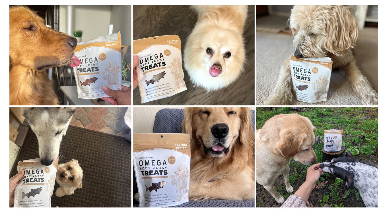 HEALTHY PUP Smarty Pup Puppy Wild Alaskan Salmon Limited Ingredient ...