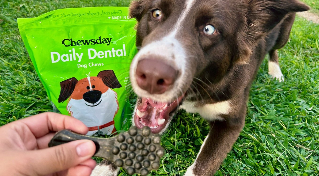 Backorder - CHEWSDAY Peanuty Bliss Chew Bones Rawhide-Free Dog Hard ...