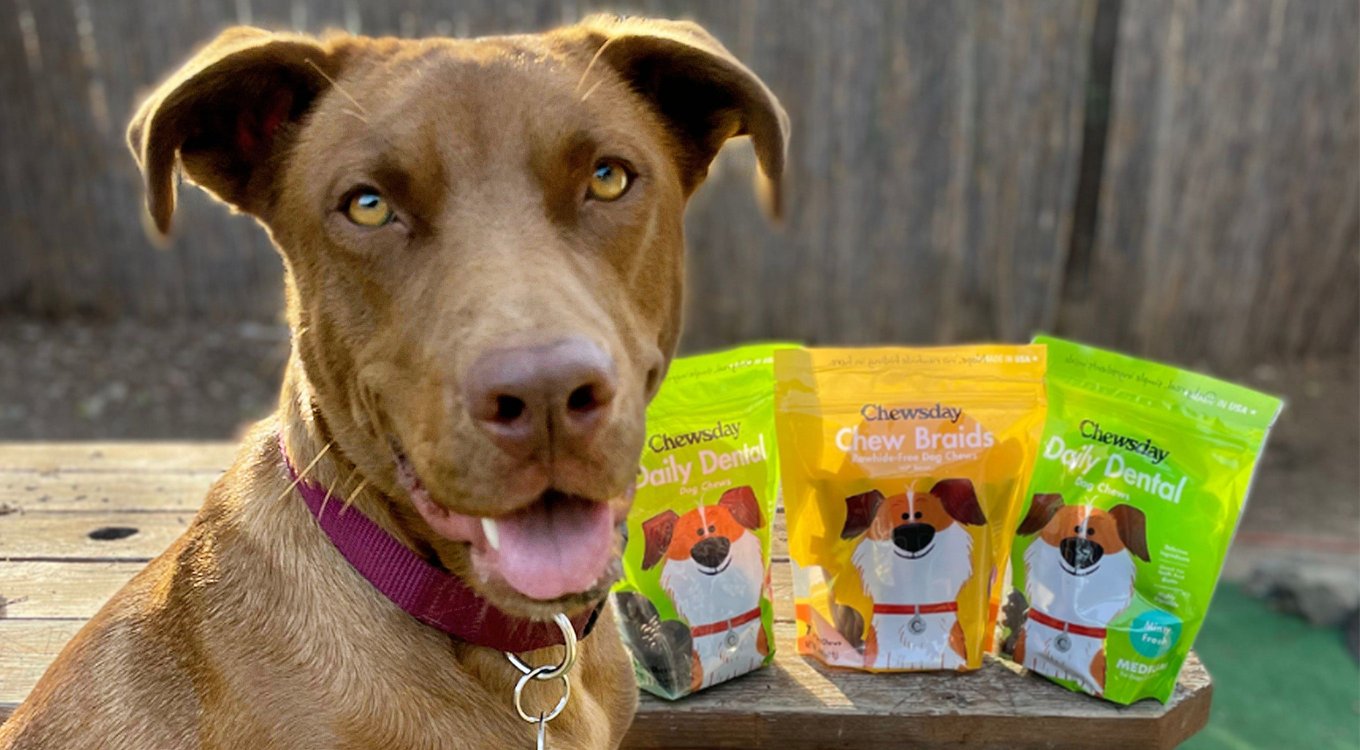 Backorder - CHEWSDAY Peanuty Bliss Chew Braids Rawhide-Free Dog Hard ...