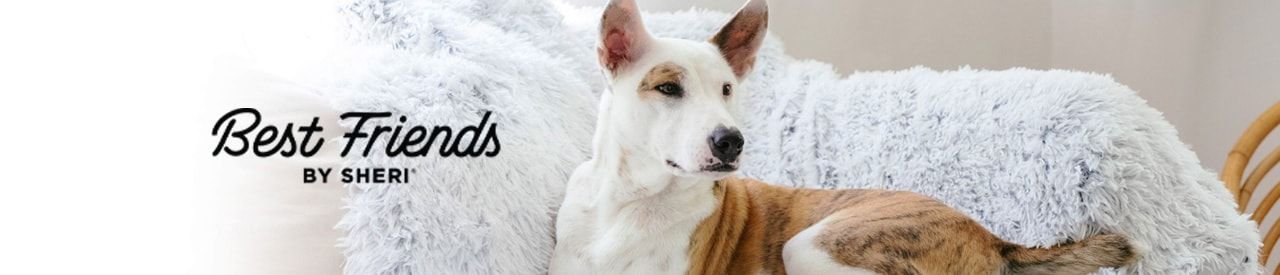 BEST FRIENDS BY SHERI Cozy Cuddler Covered Cat & Dog Bed, Dark ...