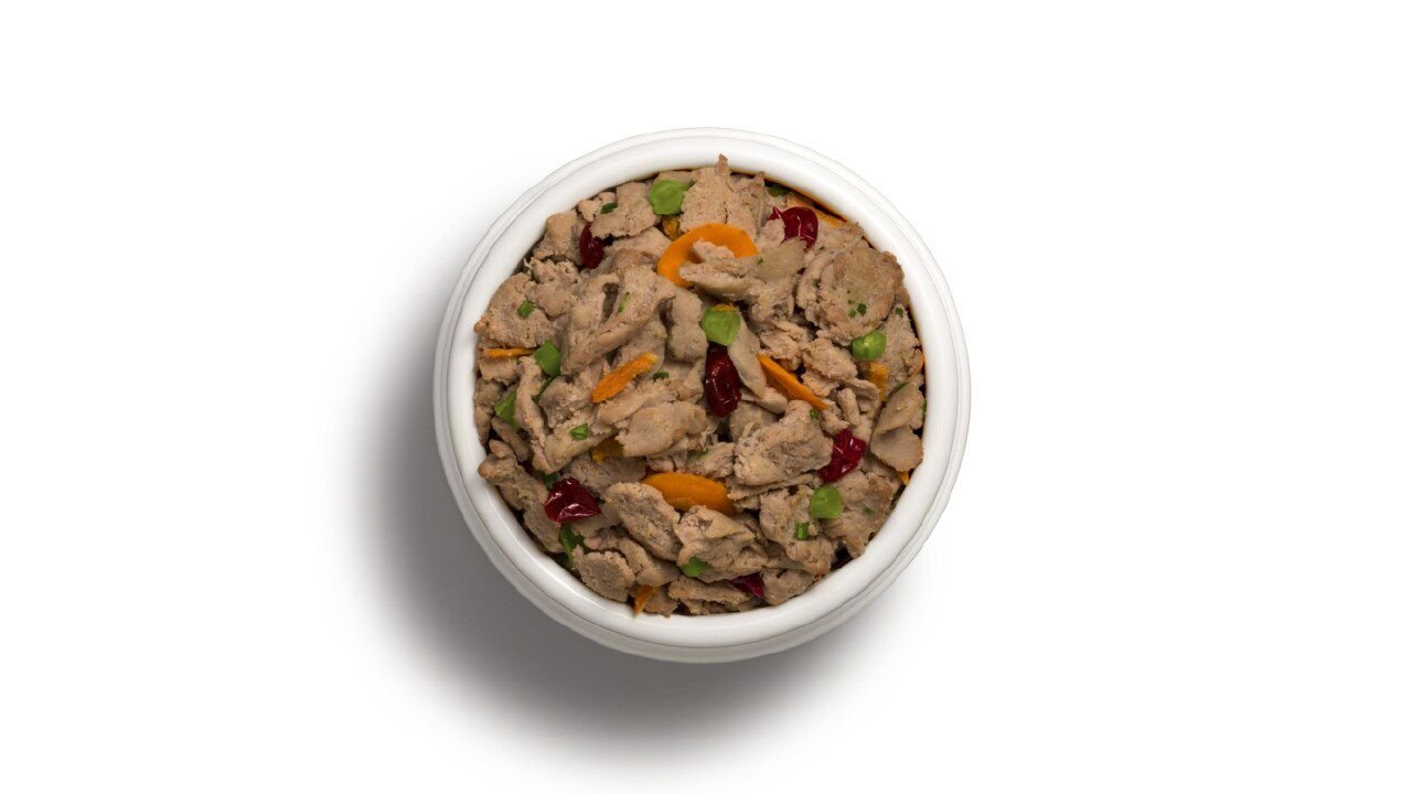 FRESHPET Vital Healthy & Natural Large Breed Fresh Dog Food, 5-lb bag ...