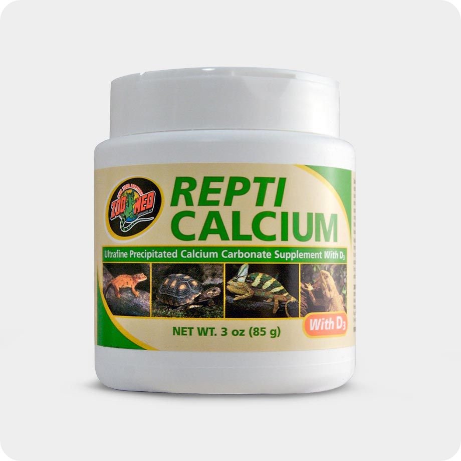 Reptile Supplies & Accessories | Chewy
