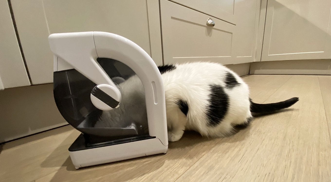 CLOSER PETS Five-meal Automatic Cat & Dog Feeder with Digital Timer ...