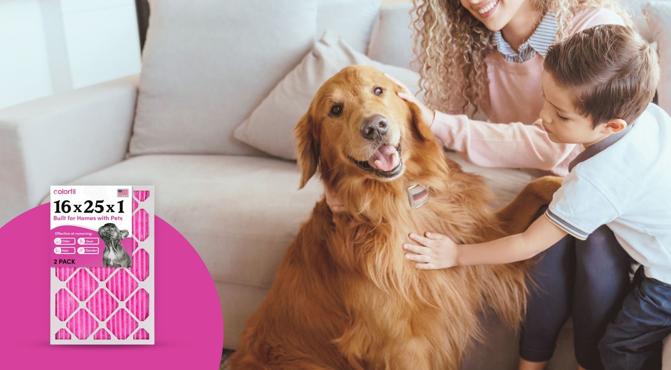 COLORFIL MERV 8 Color Changing Air Filter, 2 count, 20 x 20 x 1-in ...