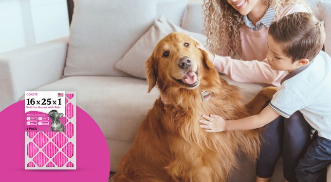 COLORFIL MERV 8 Color Changing Air Filter, 2 count, 20 x 25 x 1-in ...