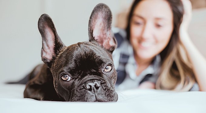 COLORFIL MERV 8 Color Changing Air Filter, 2 count, 20 x 20 x 1-in ...