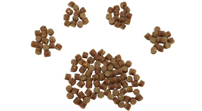 COSMO'S SNACK SHACK Original Sticks Pork High-Protein Jerky Dog Treats ...