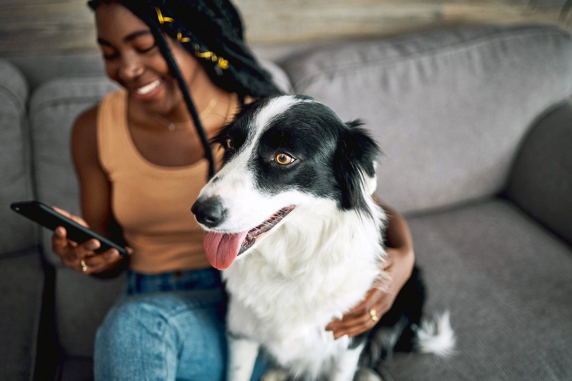 Connect With a Vet - Free Online Vet Chat | Chewy