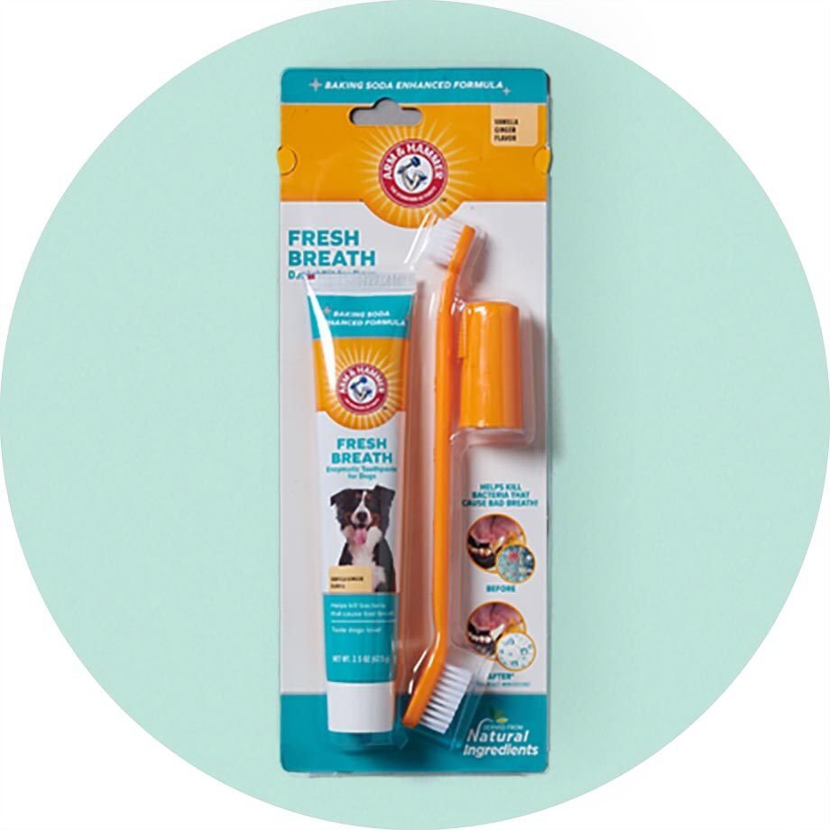 Dog Dental Care & Cleaning Products (Free Shipping) | Chewy